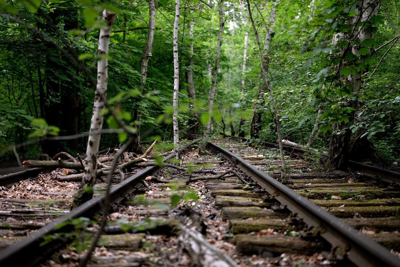 Why Do Cars Stop on Train Tracks? 5 Surprising Reasons - CarAwareness