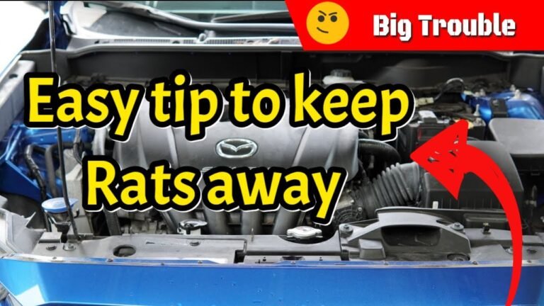 How Do You Keep Rats Out of Your Car Engine: Proven Methods - CarAwareness